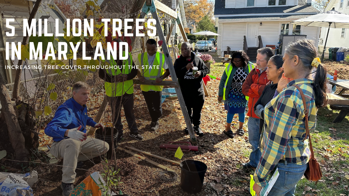 Revolutionizing Communities: Maryland's 5 Million Trees Initiative ...